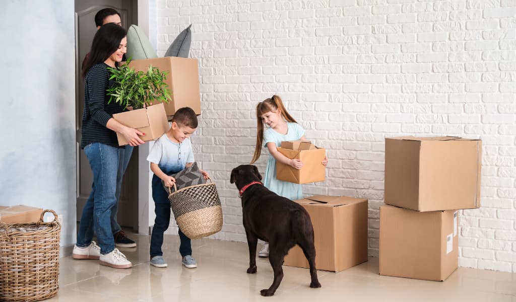 #1 Guide to Moving to Another State with a Pet | 2020 Edition